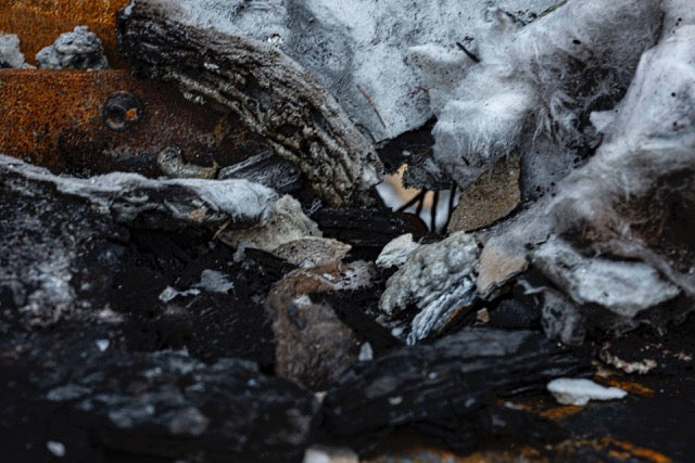 L'exposition MAGNIFICENCE est ouverte! – Martinez D - Estampes ...